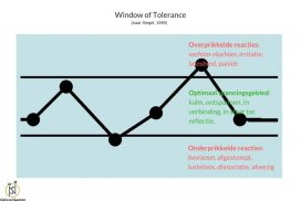 Window of Tolerance - Psycholoog van Nu